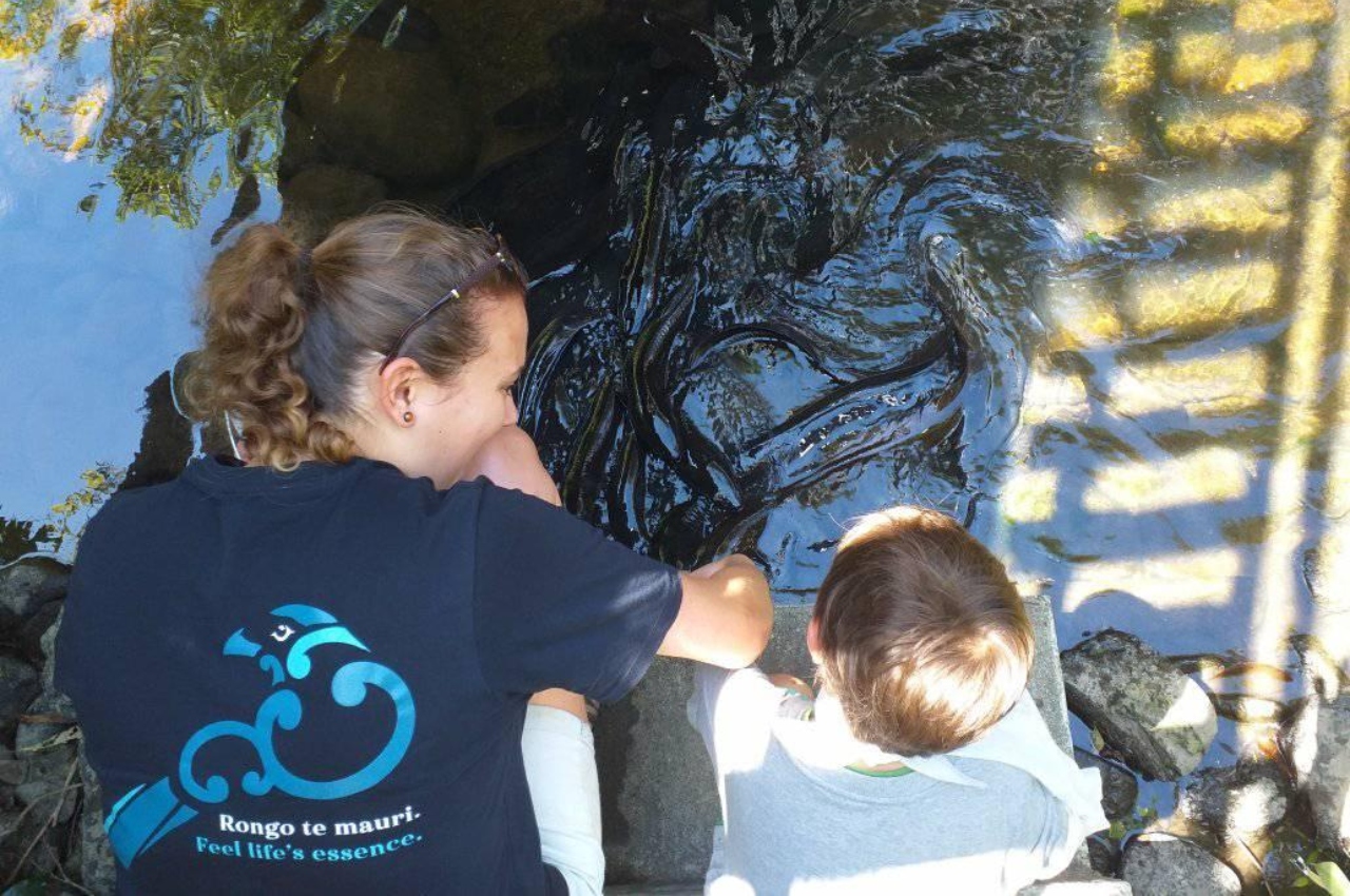 Experiences | Pūkaha Wildlife Centre