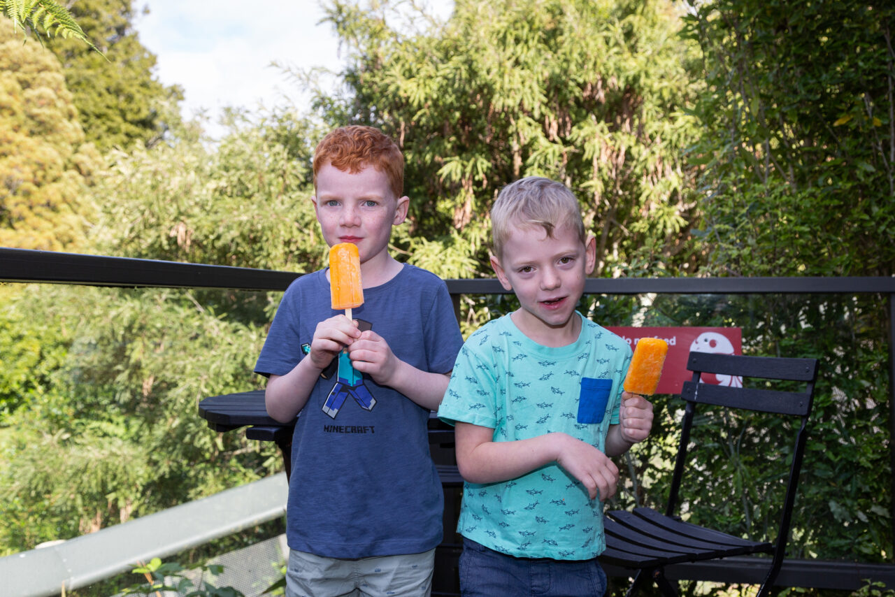 Perfect Day Out | Pūkaha Wildlife Centre